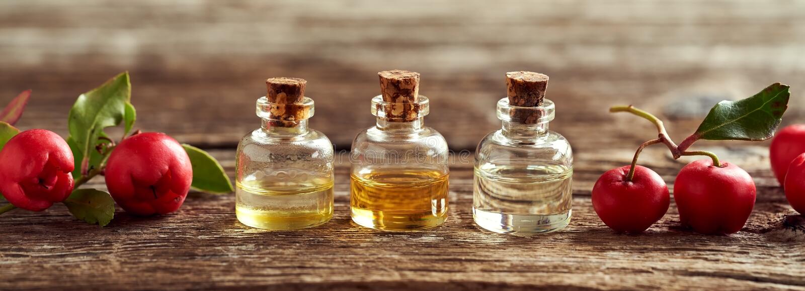 Healing Scent oils Essential Oils and oil diffusers with natural oil ...